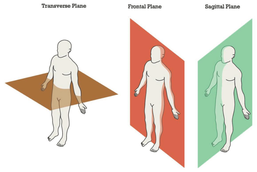 Stretch-mas Day 1: Active Trunk Rotatation | Munger Physical Therapy