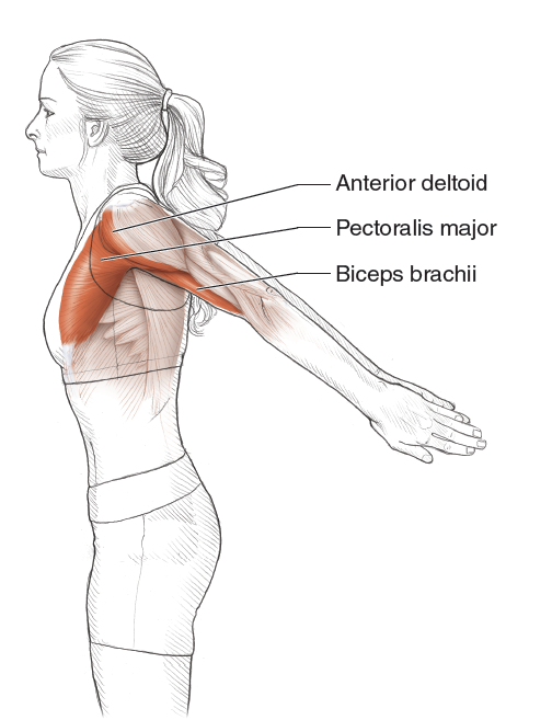 Stretch-mas Day 11: Shoulder Extensions | Munger Physical Therapy